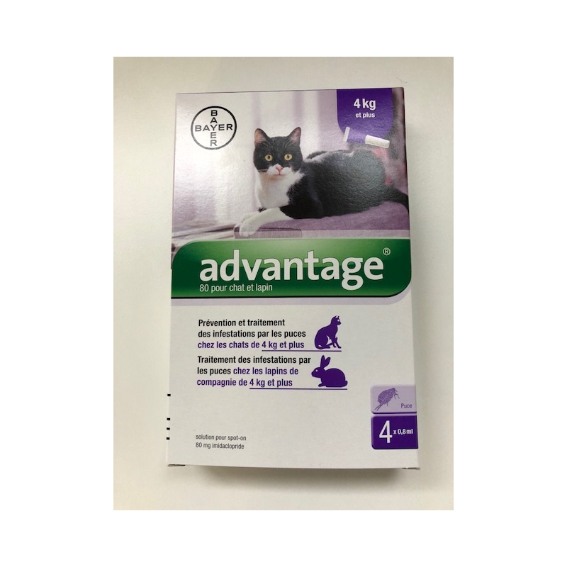 BAYER Advantage 80 Pour Chats et Lapins 4 Pipettes - Mon-armoire-a ...